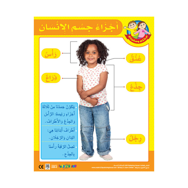 My Body & My 5 Senses (6 Wall Charts) - Educational Wall Chart Pack in